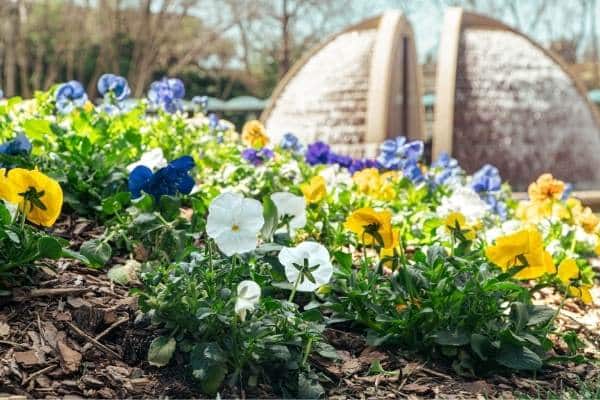 Let HighGrove Manage Your Flush